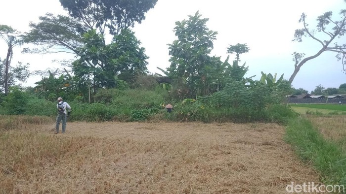Jejak Benteng Era Perang Diponegoro di Klaten, Warga Pun Tak Berani Usik