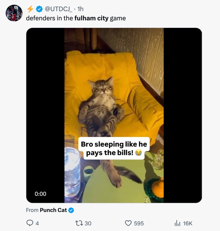 Meme Kocak Banjir 9 Gol di Laga Fulham Vs Man City