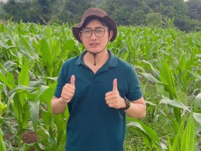 Berita dan Informasi Boby tince Terkini dan Terbaru Hari ini - detikcom