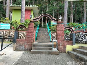 Berita dan Informasi Gunung tidar Terkini dan Terbaru Hari ini - detikcom