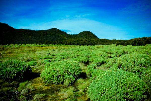 [Porter Merbabu, Lawu, Merapi, Sindoro, Slamet, Sumbing, Rinjani ... [Porter Merbabu, Lawu, Merapi, Sindoro, Slamet, Sumbing, Rinjani ...