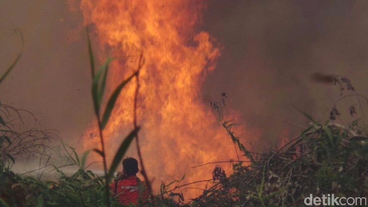 Kementerian: Ada 421 Titik Api di Lahan Milik Korporasi