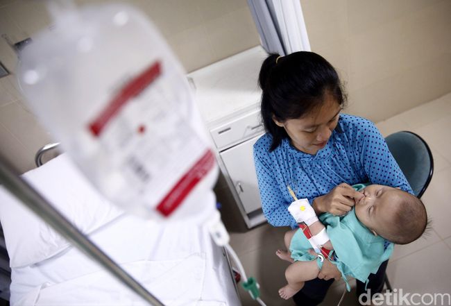 Bibir Sumbing pada Bayi: Penyebab, Deteksi Dini & Harga Operasi Perbaikan Bibir Sumbing pada Bayi: Penyebab, Deteksi Dini & Harga Operasi Perbaikan