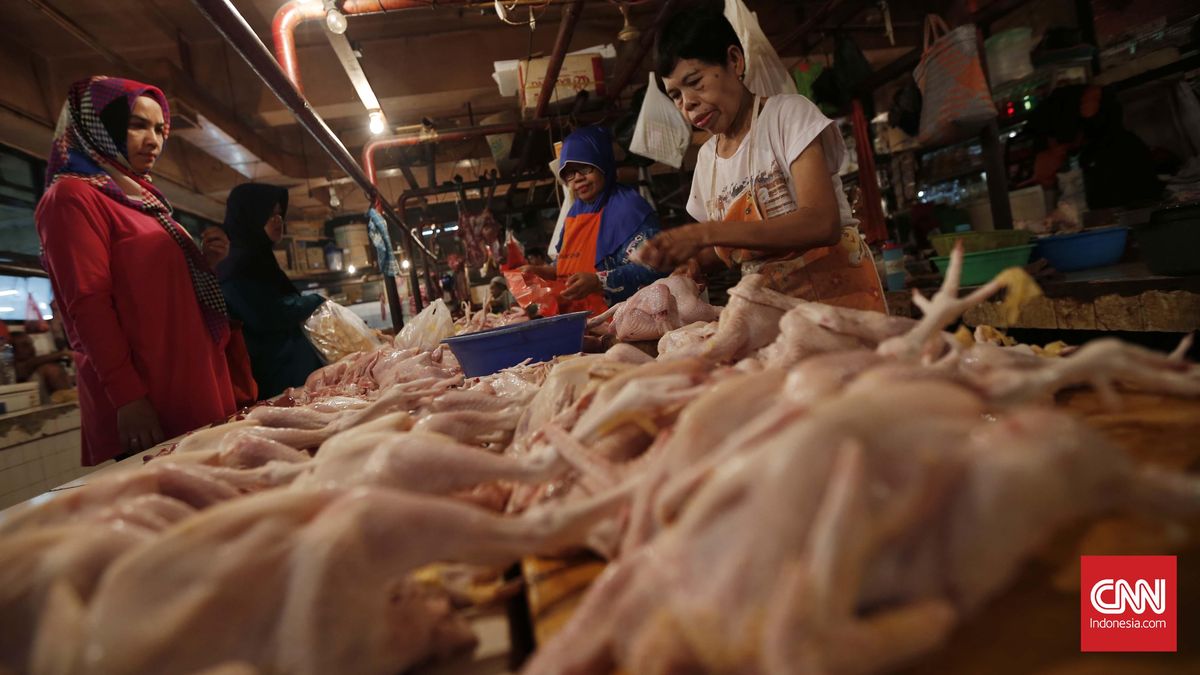 Harga Daging Ayam Mahal, Warga Cilacap Pilih Beli Kepala dan Ceker