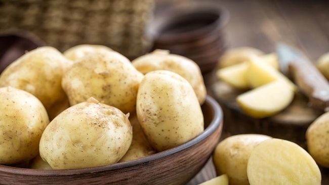 Kisah Pilu Satu Keluarga Tewas akibat Kentang Busuk