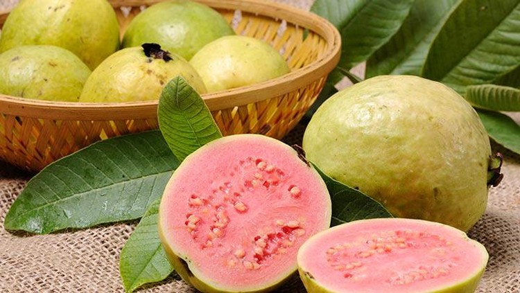 3 Manfaat Buah And Daun Jambu Biji Untuk Ibu Hamil Yang Bunda Perlu Tahu