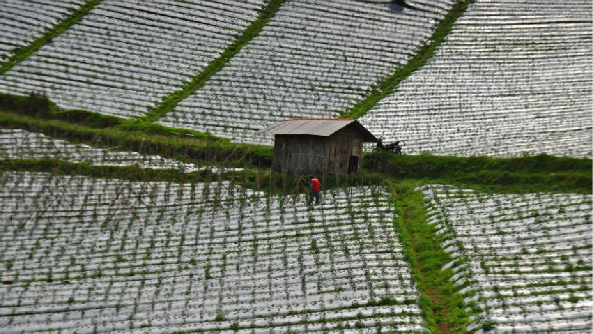 Kala Wayang Ajen Jadi Alat Promosi Desa Wisata