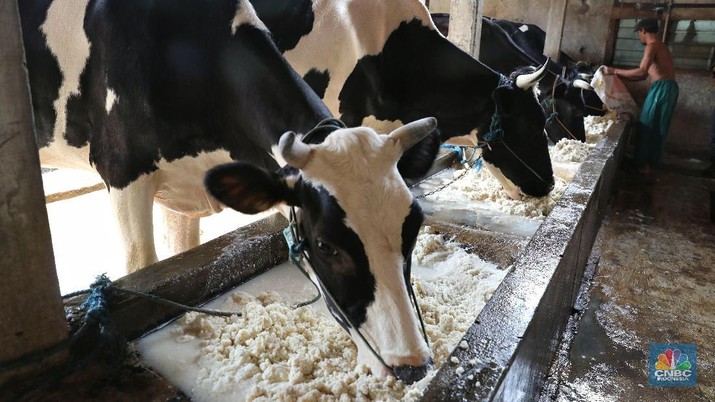 Krisis Populasi Bikin Pening, China 'Kebanjiran' Susu