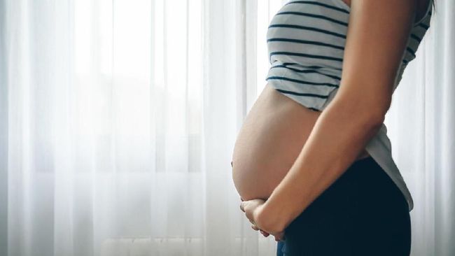 6 Bahan Alami untuk Mengurangi Stretch Mark Saat Hamil