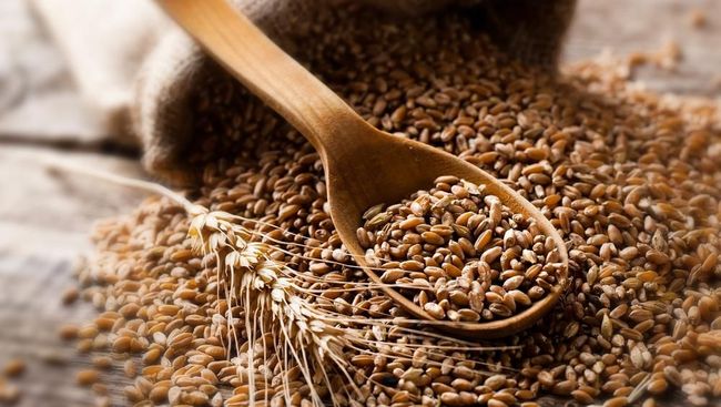 Manfaat Konsumsi Gandum Utuh untuk Kesehatan Keluarga