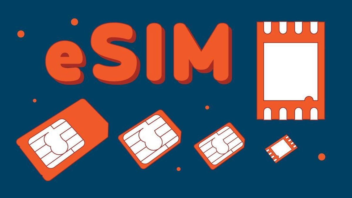 INFOGRAFIS: Cara Kerja eSIM