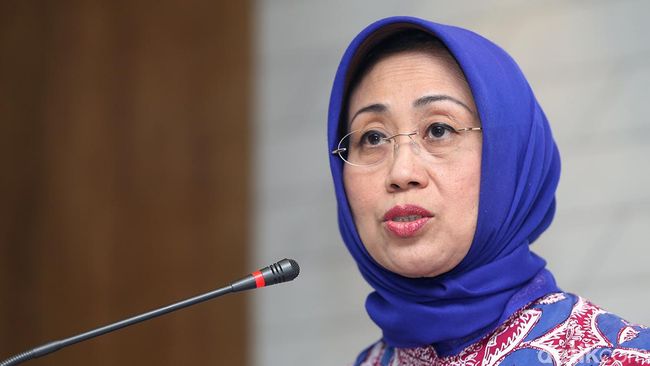 Profil Dr. Ninik Rahayu yang Terpilih sebagai Ketua Dewan Pers 2022-2025