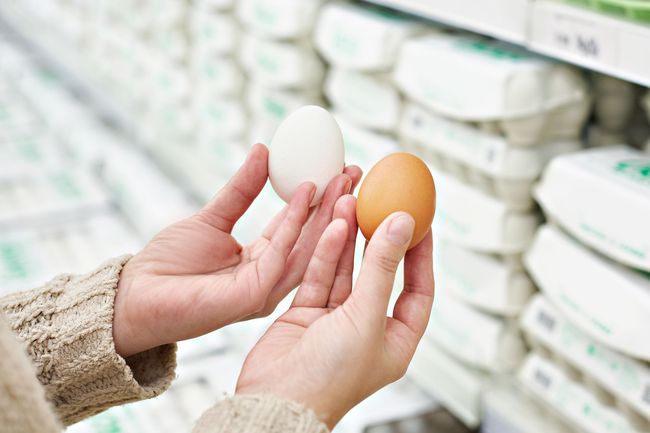 Anak Alergi Telur Pasti Alergi Pula pada Daging Ayam?