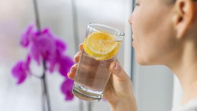 Infused Water, Minuman Sehat Kekinian dengan 5 khasiat