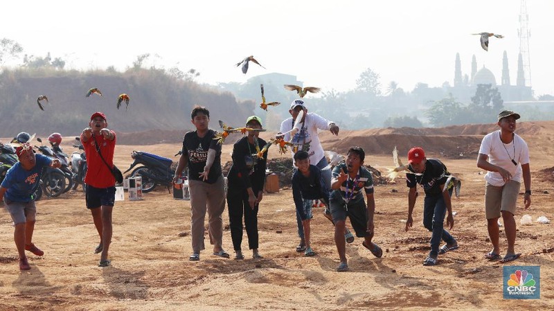 Tren Free Fly Burung Paruh Bengkok Terbang di Alam Bebas