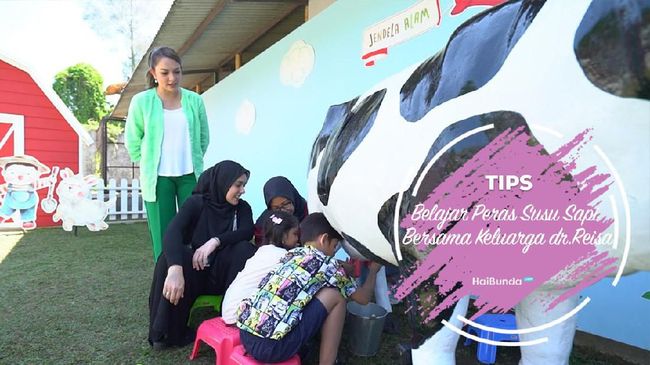 Belajar Peras Susu Sapi Bersama Keluarga dr.Reisa