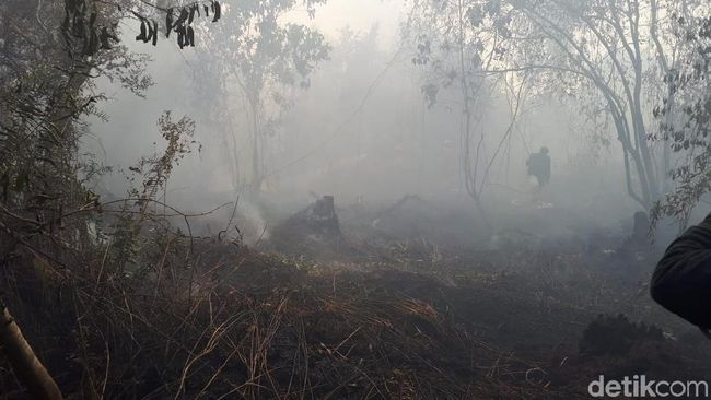 Waspada Kabut Asap, Singapura Deteksi Ada 51 Titik Api Karhutla di Sumatra!