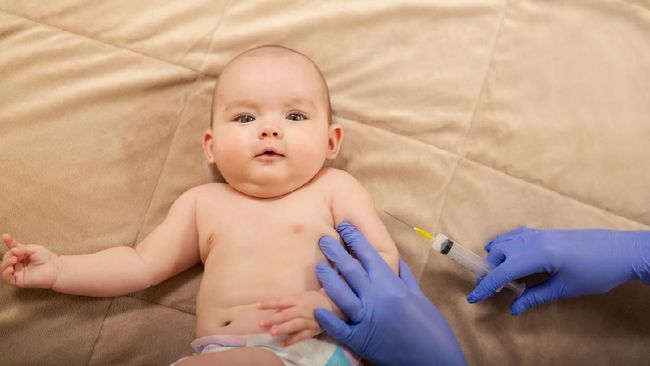 Penting! Imunisasi Dasar Wajib Dilakukan untuk Bayi 2 Bulan