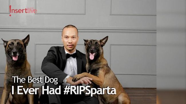 Sparta, Anjing Milik Bimo Arya yang Sempat Viral, Mati Karena Sakit