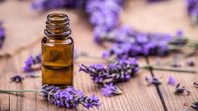 7 Tanaman Penghasil Essential Oil atau Minyak Esensial