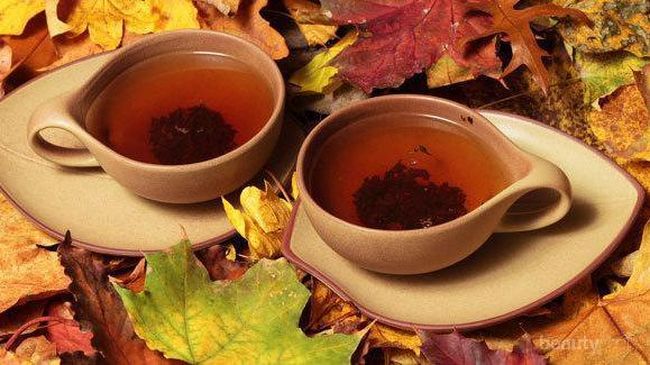 Mengenal Jenis Teh dan Manfaatnya