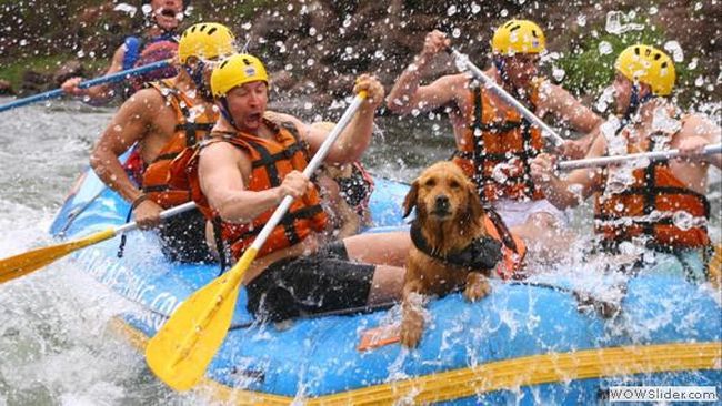 7 Lokasi Rafting Paling Recomended di Indonesia