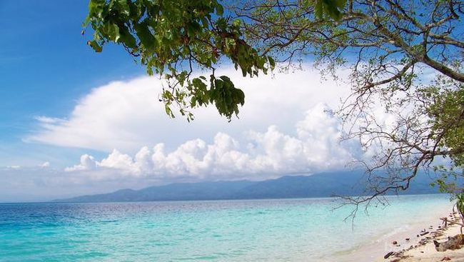 Pulau Pombo, Surga Tersembunyi di Maluku