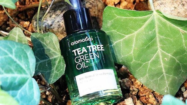 Jerawat Cepat Hilang dengan 5 Produk Tea Tree Oil Korea Ini