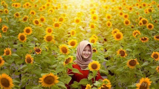 Bak Di Luar Negeri, Taman Bunga Ini Wajib Kamu Kunjungi