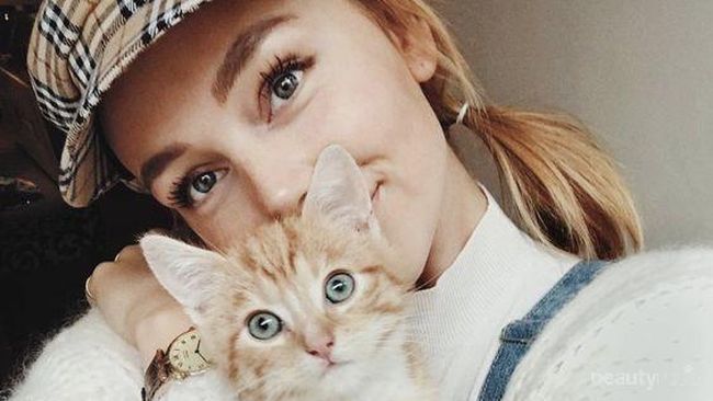 Ingin Kucing Peliharaan Tumbuh Menjadi Kucing yang Ramah? Cobain Tips ...