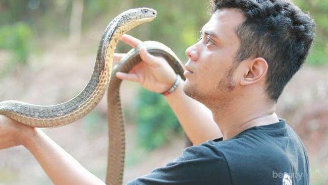 Penggemar Panji Petualang? Kamu Wajib Tahu 5 Fakta Ini