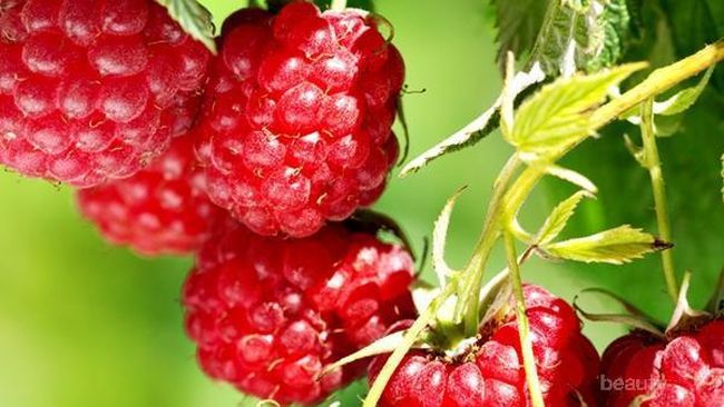 Buah Raspberry Bagus Banget Buat Kecantikan Lho! Kok Bisa?