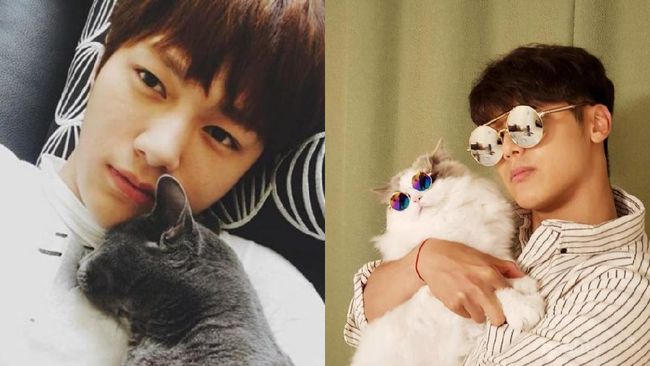 Super Gemas, 6 Selebriti Pria Korea Ini Ternyata Pecinta Kucing, Lho