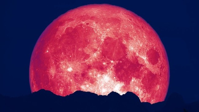 Dalam 12 Bulan di 2026, Langit Pamer Keajaiban: Meteor hingga Gerhana