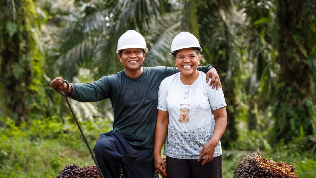 RSPO Jamin Beri Perlindungan Upah kepada Pekerja Sawit