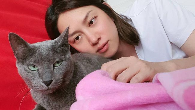 Tak Disangka, 6 Idol Kpop Berikut Pecinta Kucing Sejati!