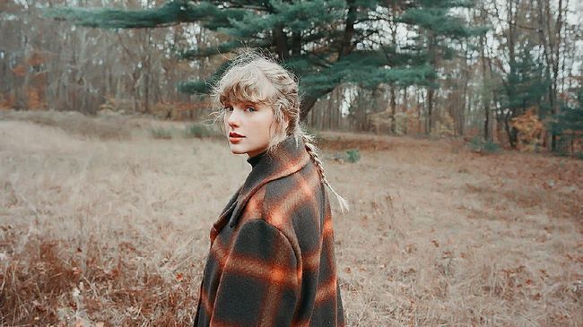 Lirik Lagu Mr. Perfecly Fine (Taylor's Version) - Taylor Swift