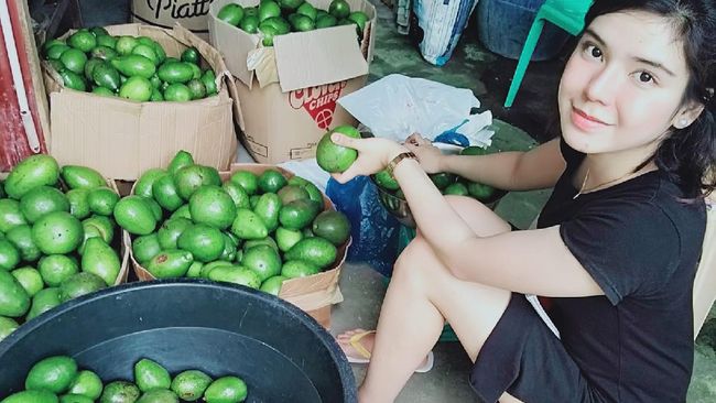 Kena PHK, Eks Pramugari Cantik Banting Setir Jual Alpukat Kena PHK, Eks Pramugari Cantik Banting Setir Jual Alpukat
