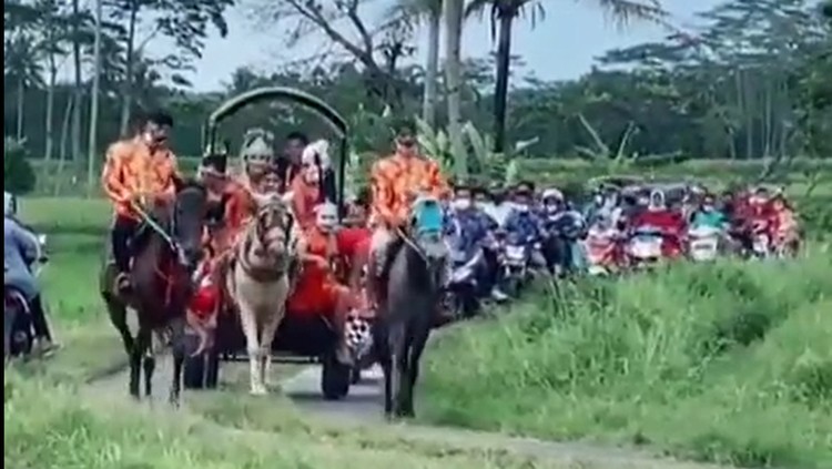 Unik Bun! Arak-arakan Pengantin Naik Kereta Kuda Lintasi Sawah
