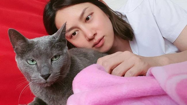 5 Artis Korea Pecinta Kucing, Interaksinya Bikin Gemas!