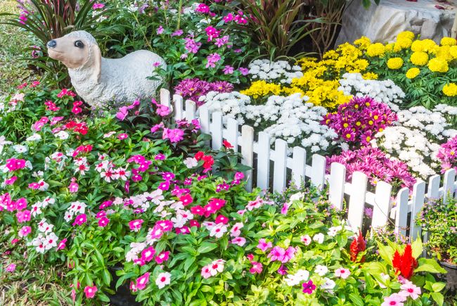 5 Langkah Mudah Menanam Tanaman Hias Bunga Agar Halaman Penuh Warna