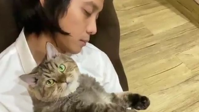 Potret Gemesnya Dikta Bersama Jimbon, Kucing Kesayangannnya - Foto 1