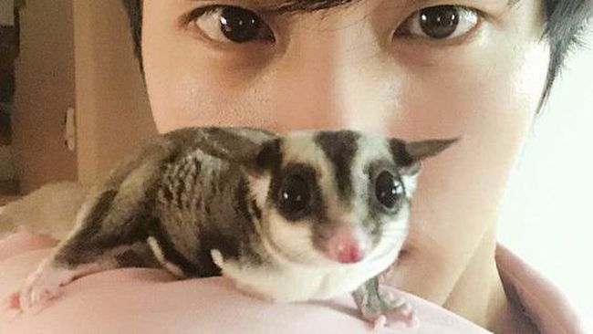 Hewan Peliharaan Unik Milik Para Selebriti, Ada yang Pelihara Babi!