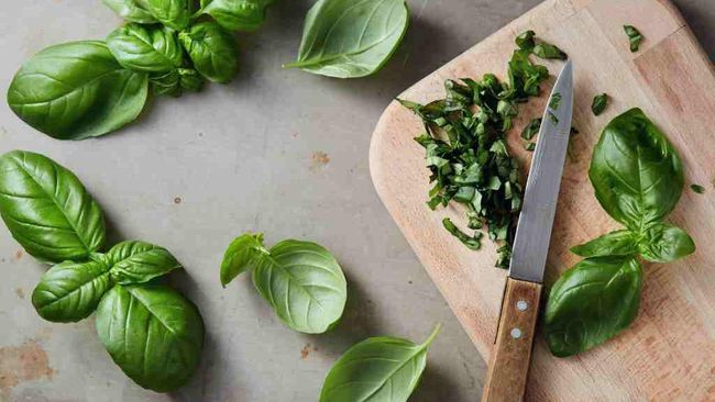 Daun Kemangi Ternyata Ampuh Atasi Bau Mulut, Ini 4 Manfaat Lainnya yang ...