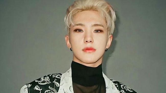 Rayakan Ulang Tahun, Hoshi Seventeen Donasi Rp 1,2 Miliar