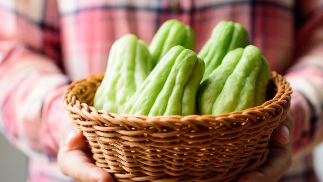 9 Manfaat Labu Siam bagi Ibu Hamil & Cara Membuat Jus yang Kaya Nutrisi