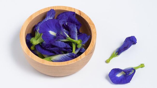 12 manfaat bunga telang bagi kesehatan menurut ahli