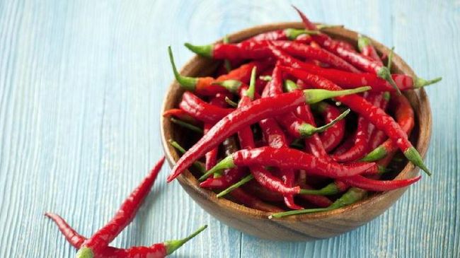 Tips Menyimpan Cabai dengan Benar, Bisa Awet Berbulan-bulan Bun