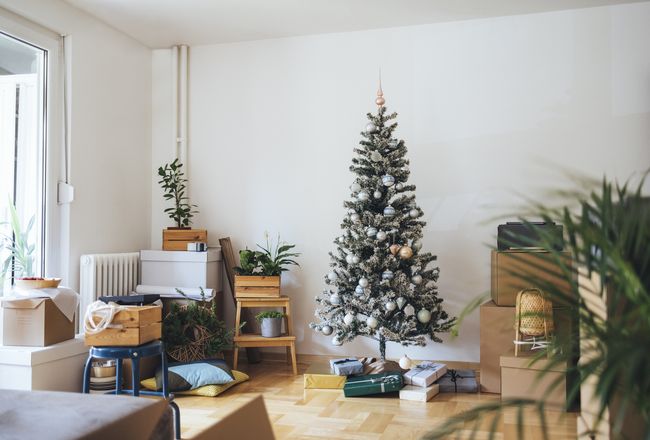 11 Jenis Pohon Natal Terbaik sebagai Hiasan Rumah