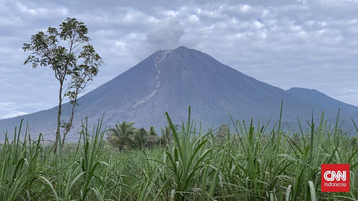 Aktivitas Gunung Semeru Didominasi Gempa dan Guguran Sepekan Terakhir